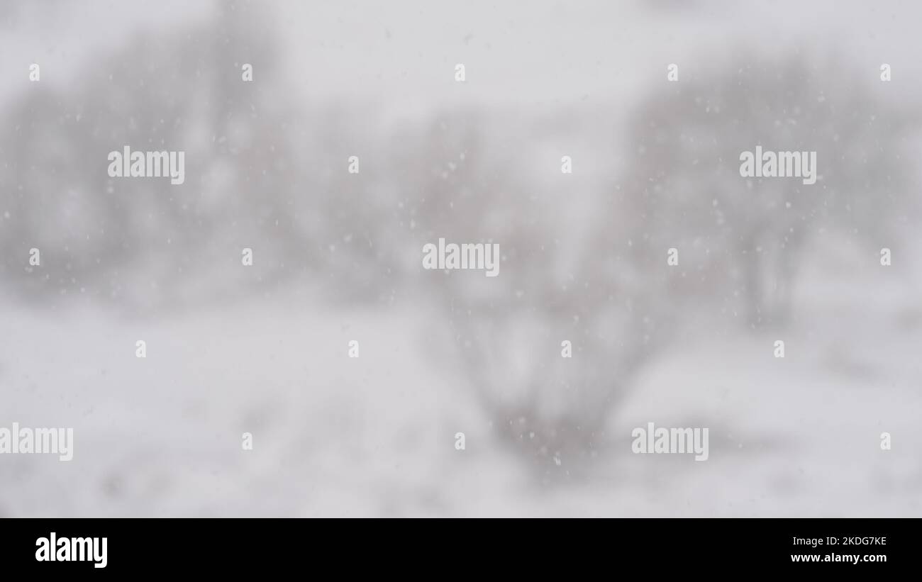 snow falling with blurred bacground, wide photo Stock Photo - Alamy