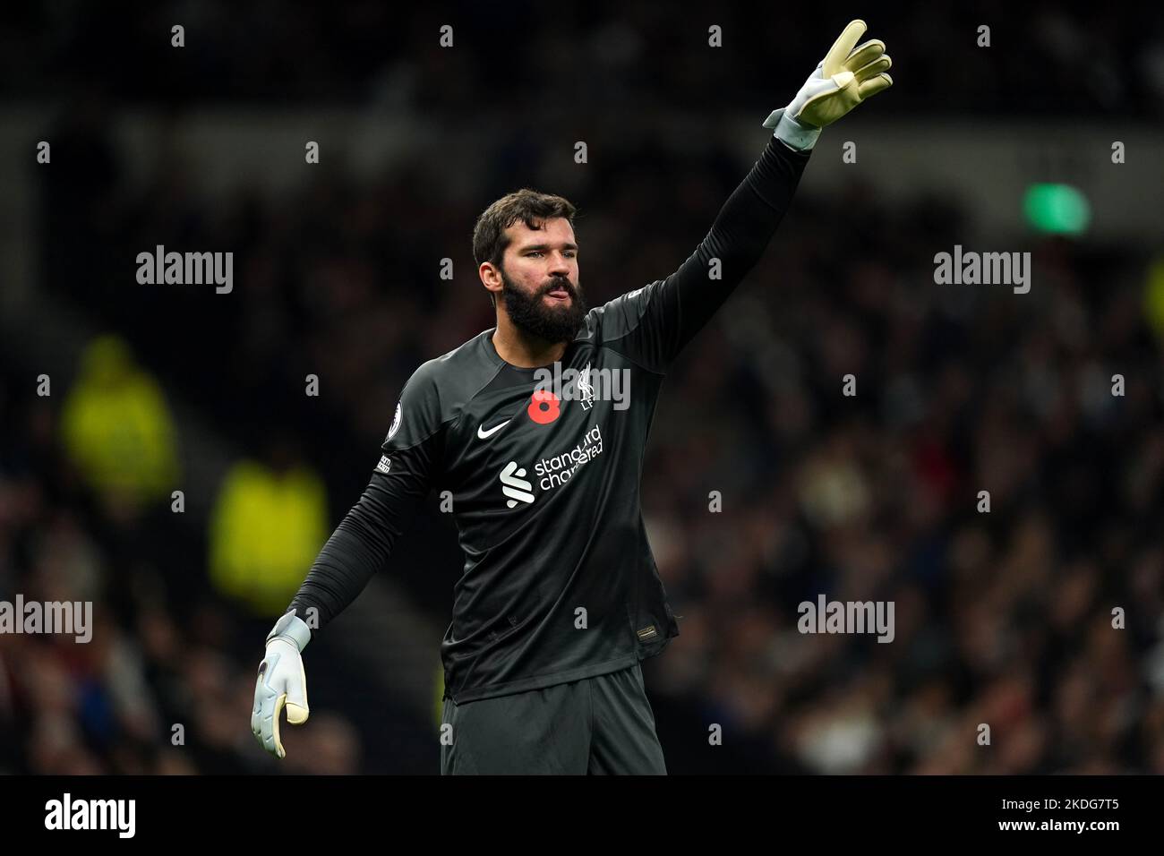 Liverpool goalkeeper Alisson Becker during the Premier League match at ...