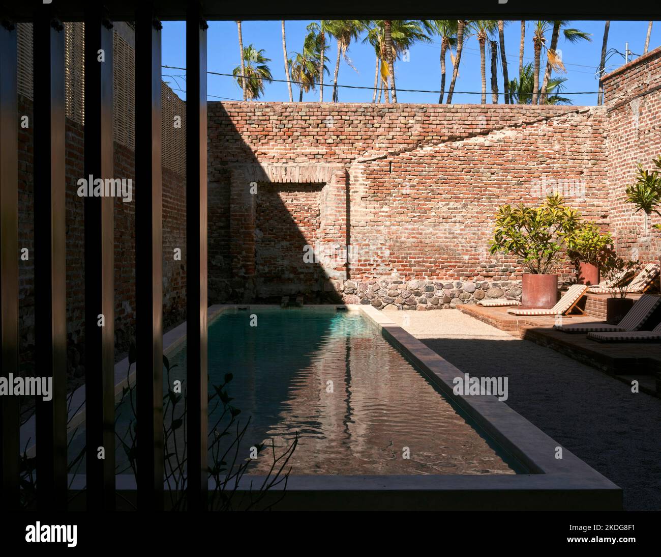 Pool. Hotel Baja Club, La Paz, Mexico. Architect: Max von Werz ...