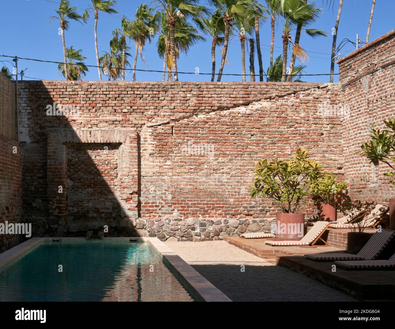 Pool. Hotel Baja Club, La Paz, Mexico. Architect: Max von Werz ...