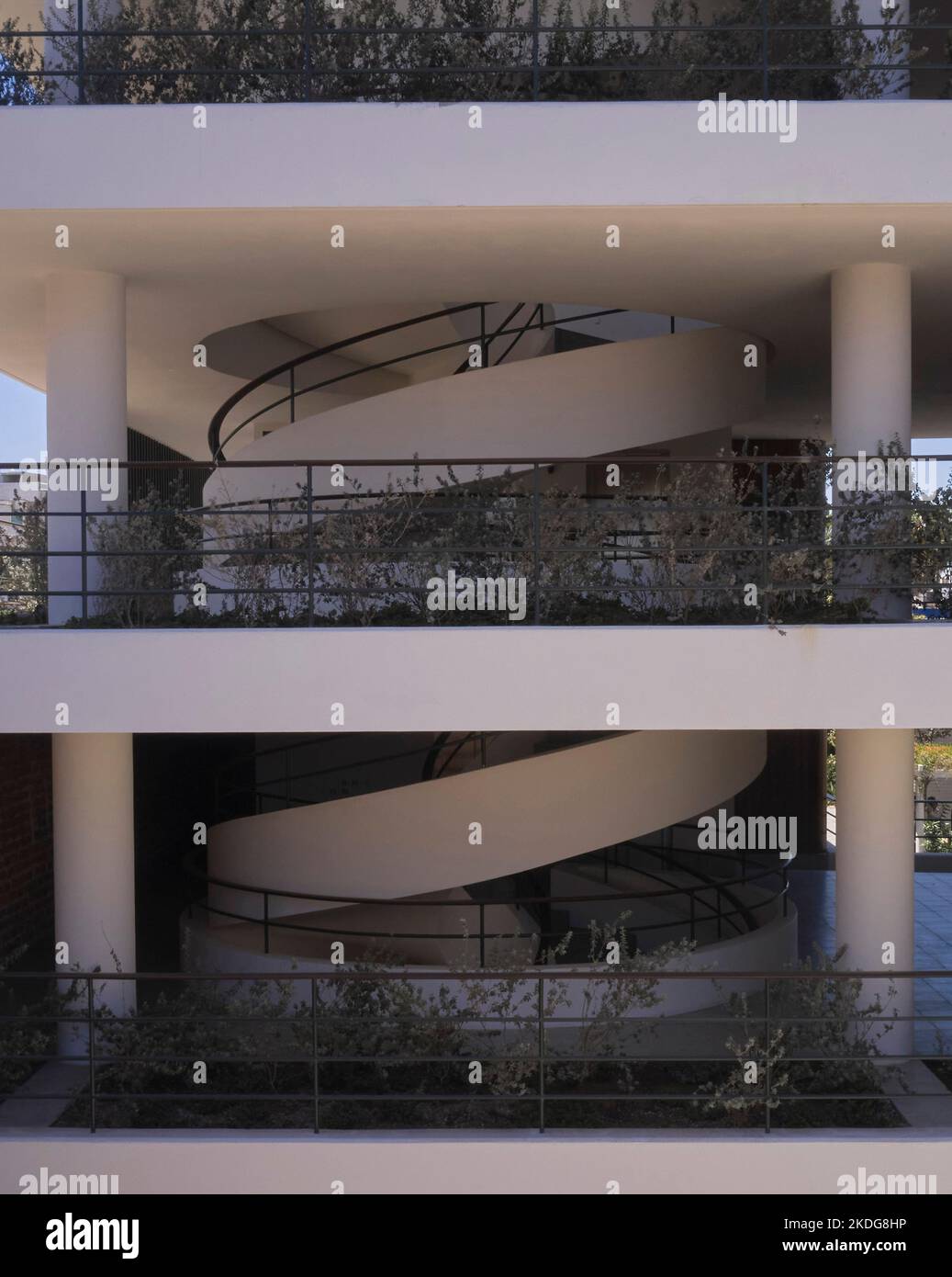 Rear elevation. Hotel Baja Club, La Paz, Mexico. Architect: Max von ...