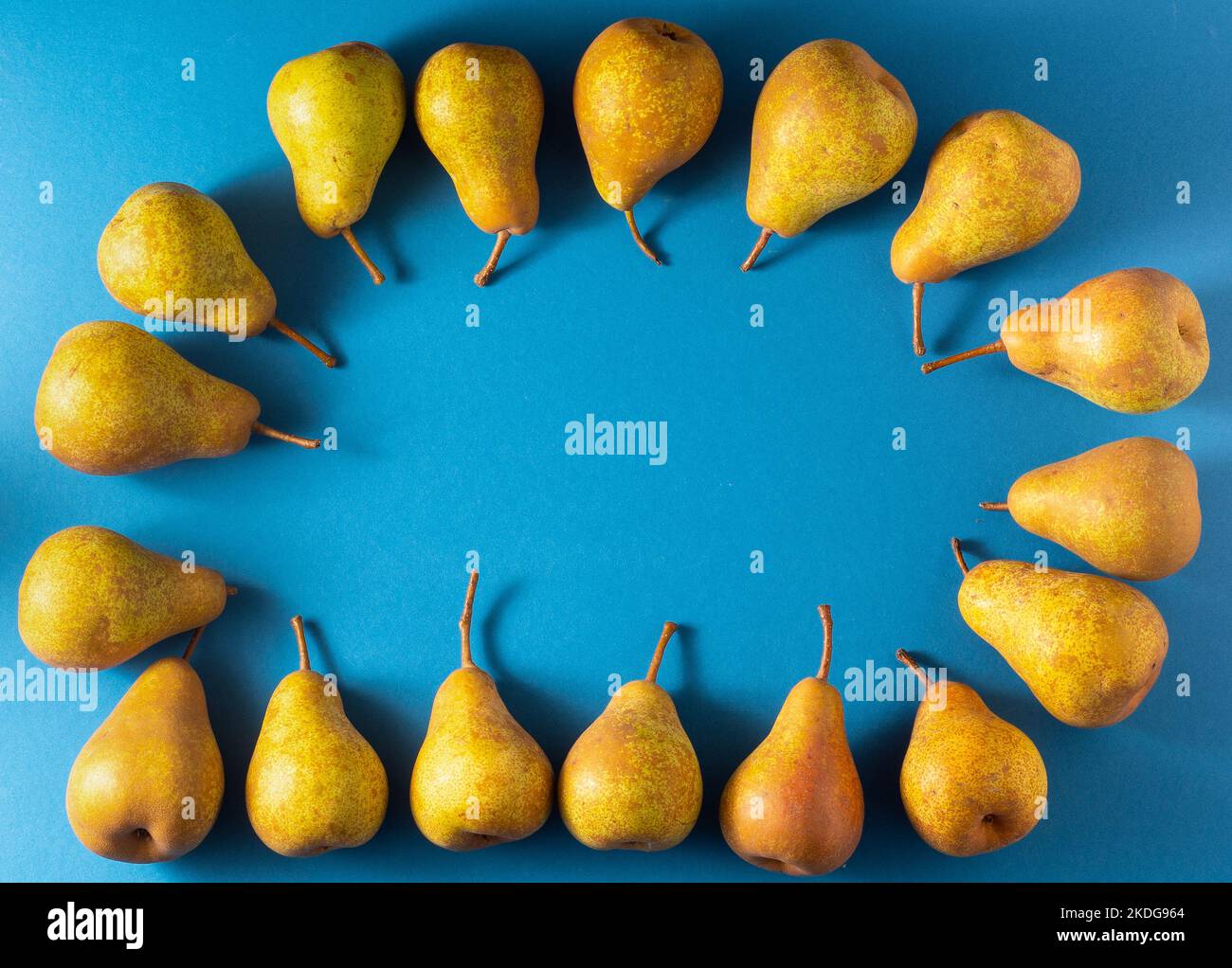 Yellow pears on a blue background. Fruit harvest. Autumn still life ...
