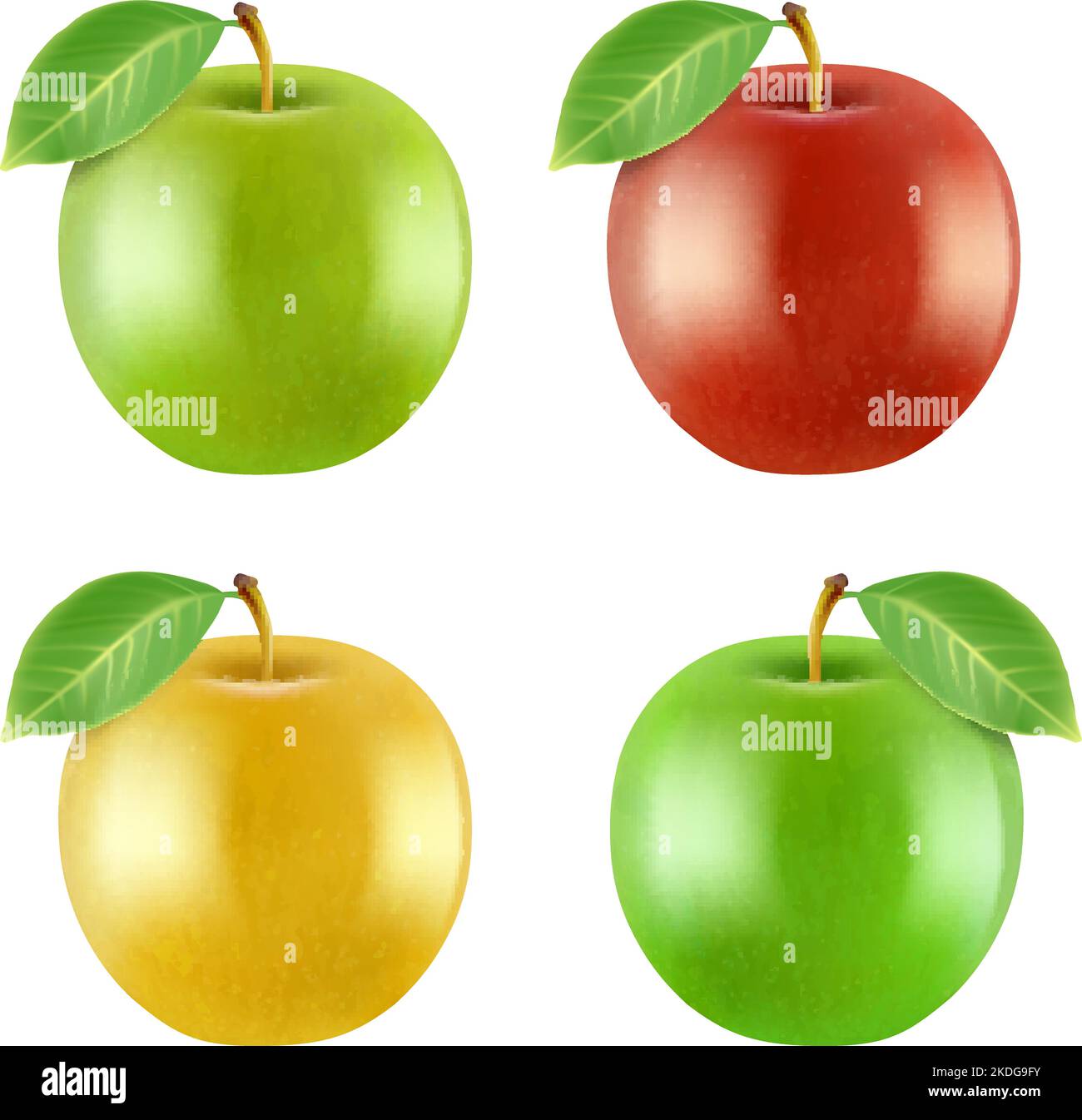 Realistic closeup apple. 3d natural sweet red green yellow apples ...