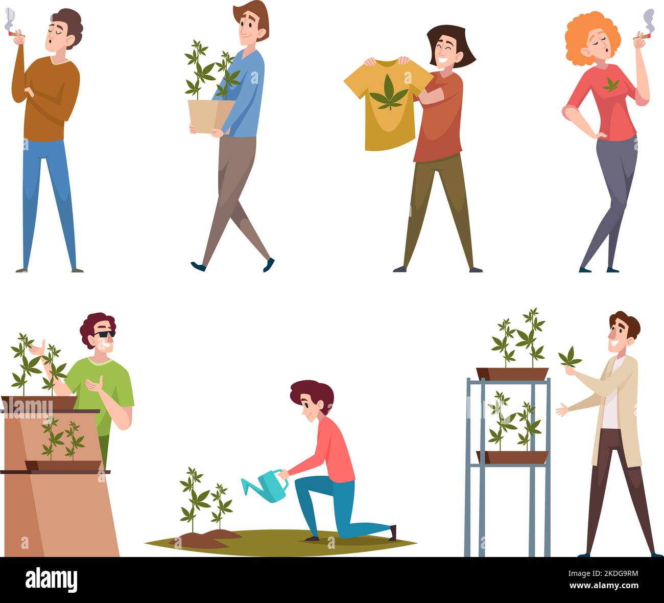 Cannabis plants grow in Stock Vector Images - Alamy