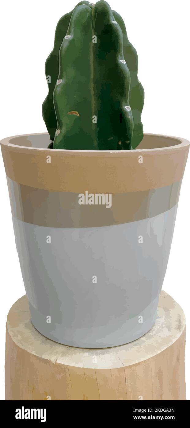 Drought resistant plant Stock Vector Images - Alamy