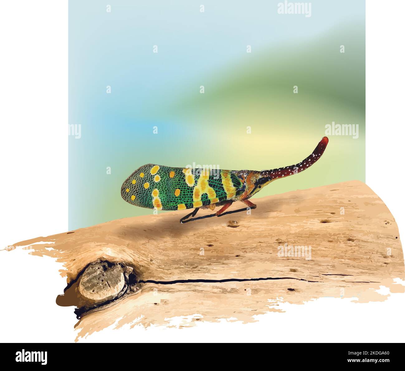 Living on wood Stock Vector Images - Alamy