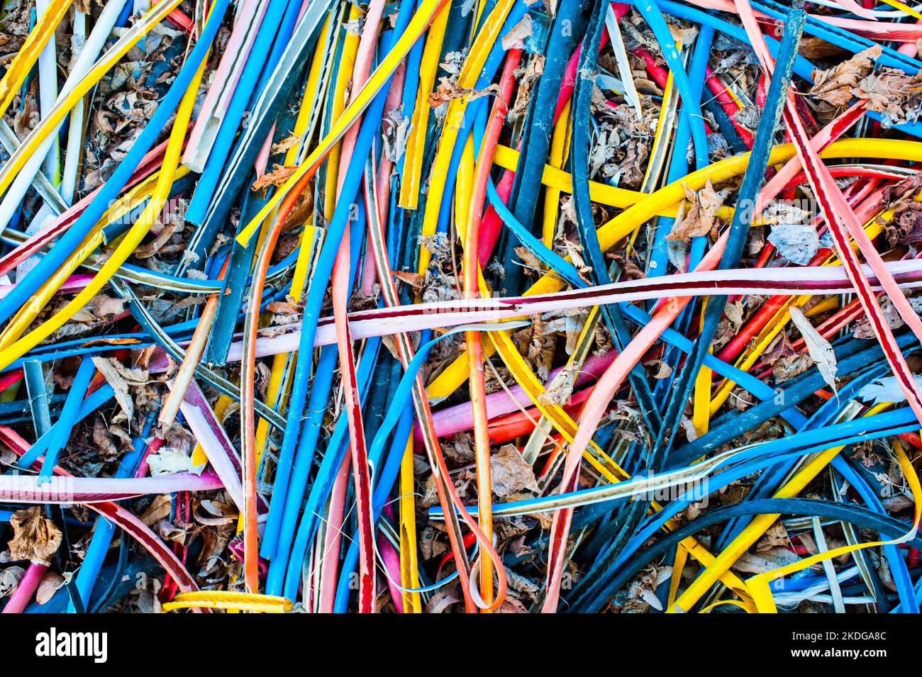 Multi-coloured striped wire casings scattered on the ground like ...