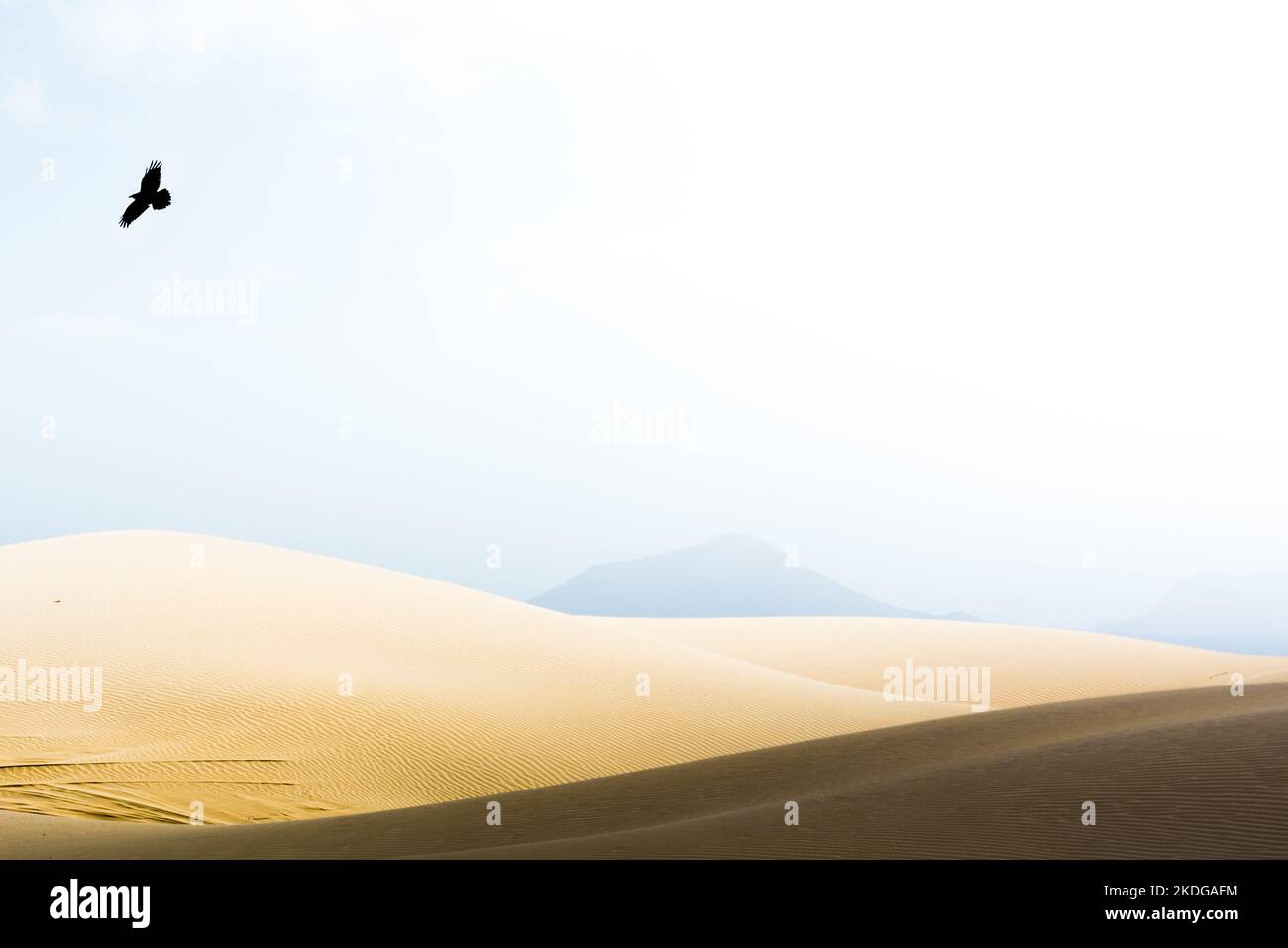 Lone bird flies across a desert landscape Stock Photo - Alamy