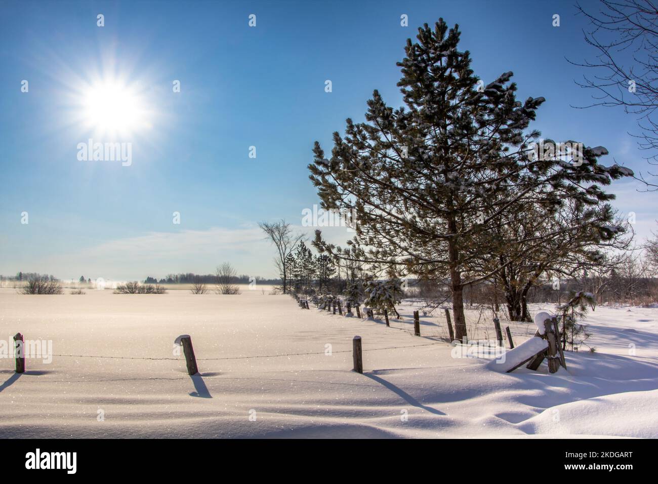 Fresh snow on a cold and sunny winter day. Winter landscape. Sun rays ...