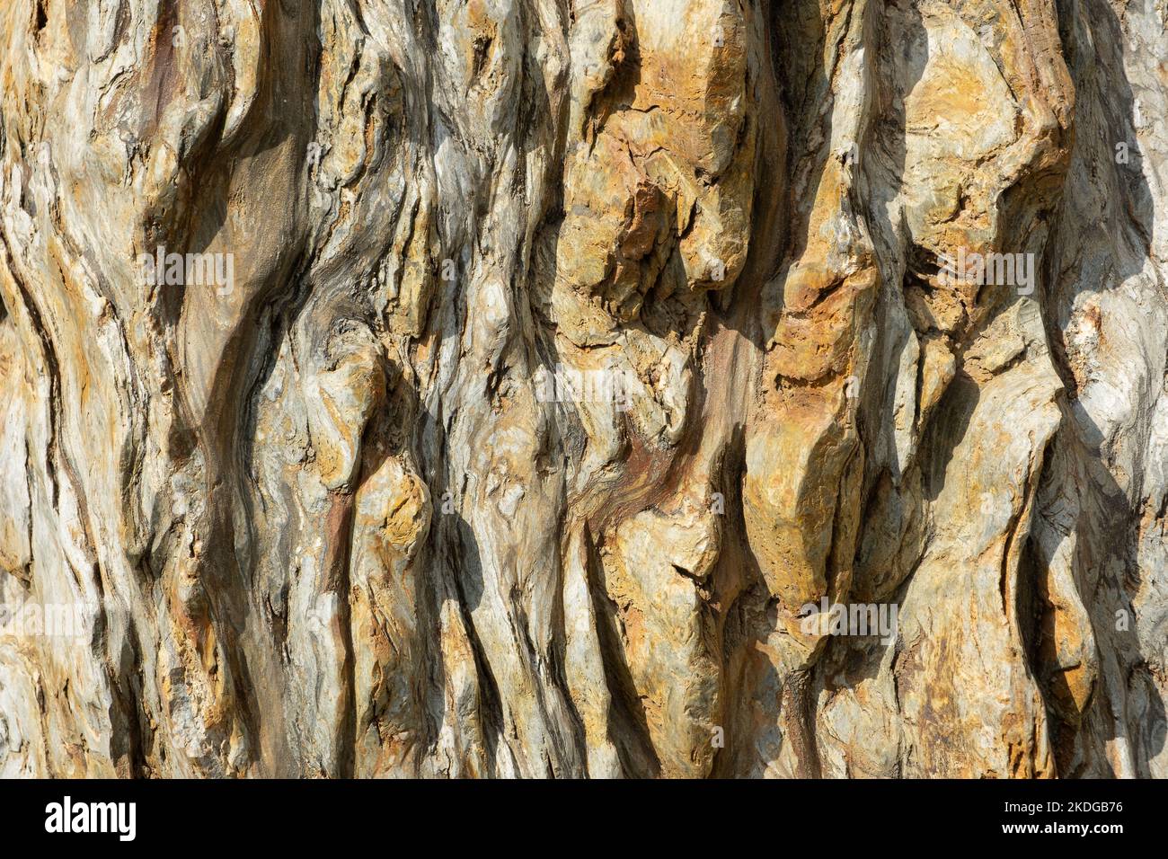 Rough embossed stone surface texture - background Stock Photo - Alamy