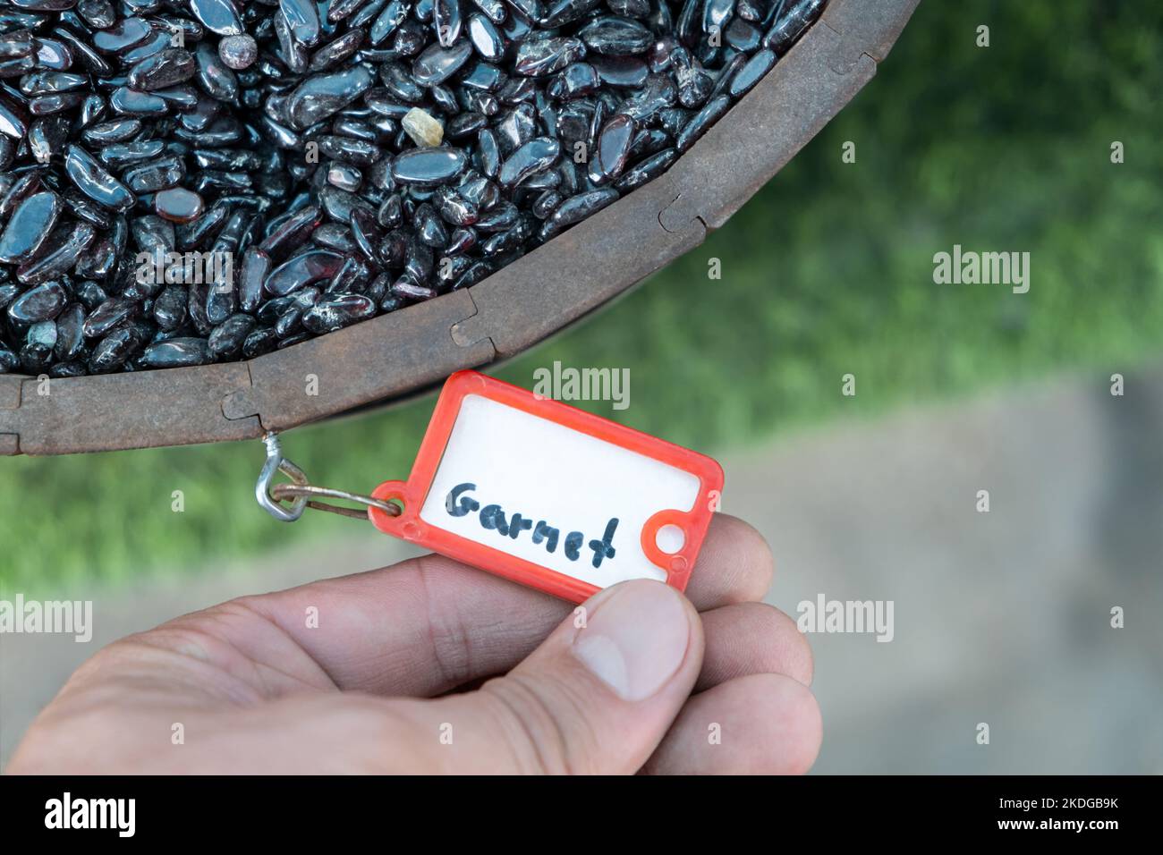 Garnet small mineral rock stones gemstone particles. Hand hold a tag ...