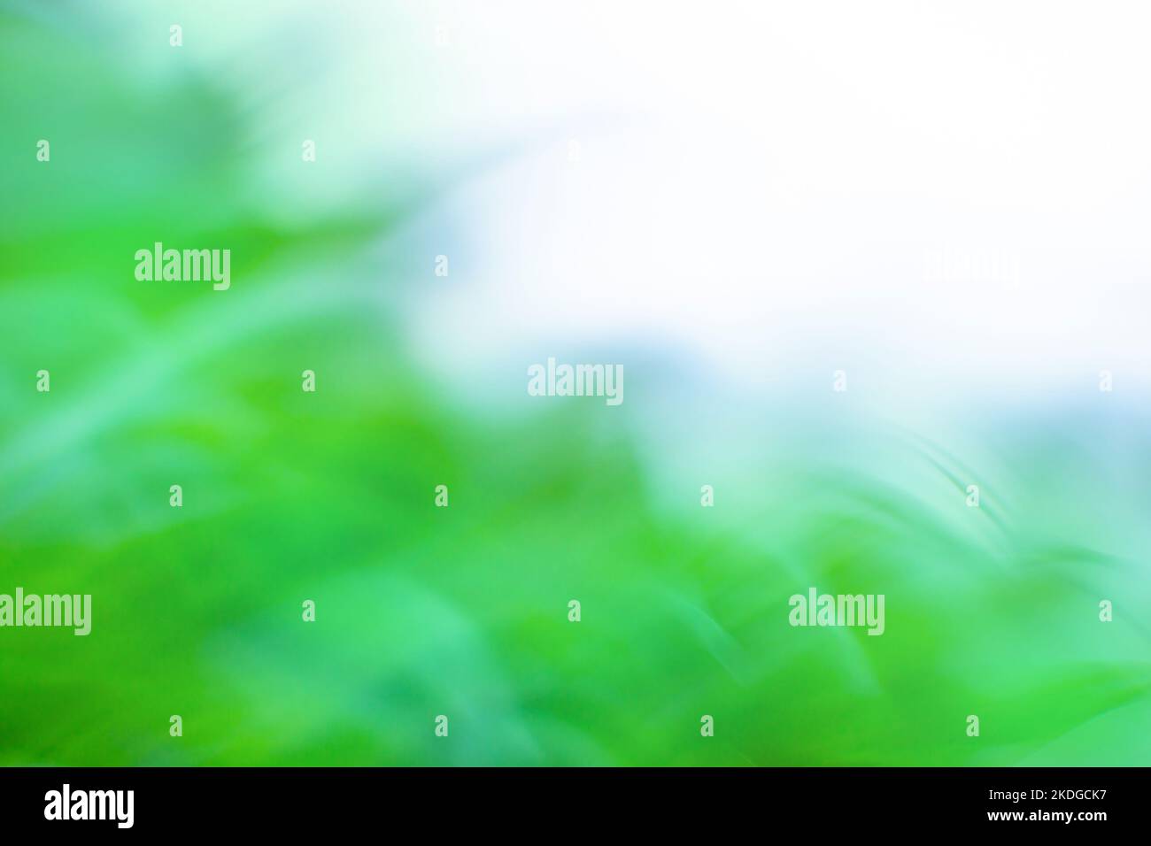 Green beautiful nature green eco background for your design. Abstract ...