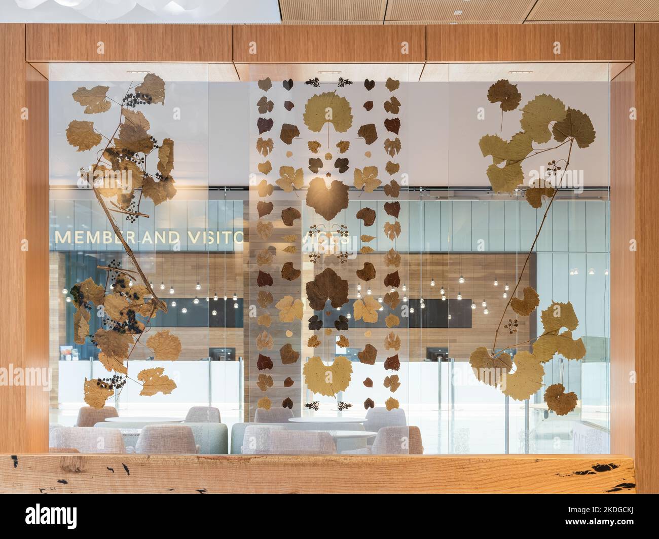 Sassafras Cafe at the Missouri Botanical Garden Stock Photo - Alamy