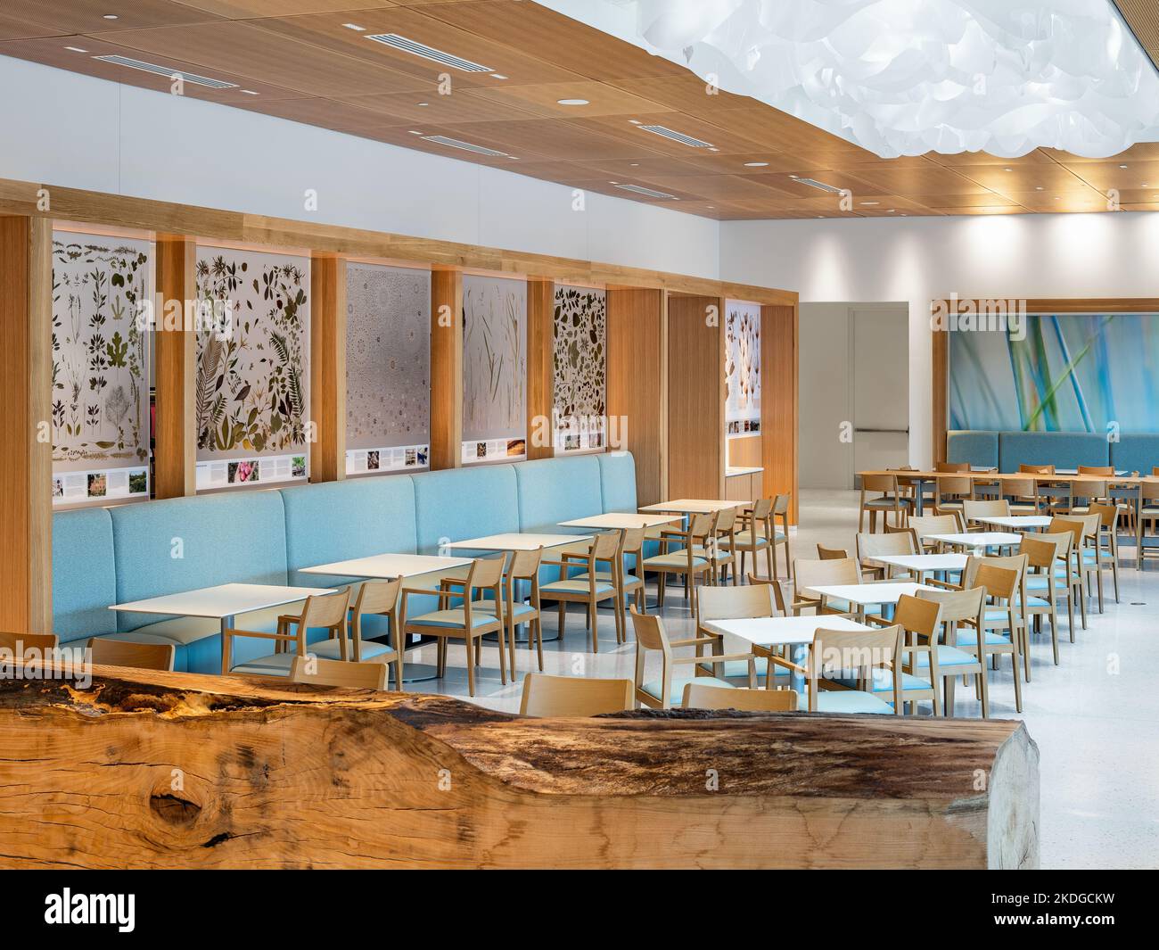 Cafe cafeteria hi-res stock photography and images - Alamy