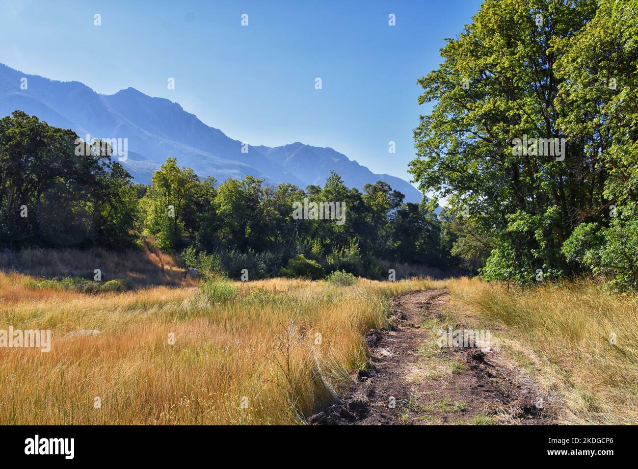Hamongog hiking trail views Lone Peak Wilderness, Wasatch Front Rocky ...