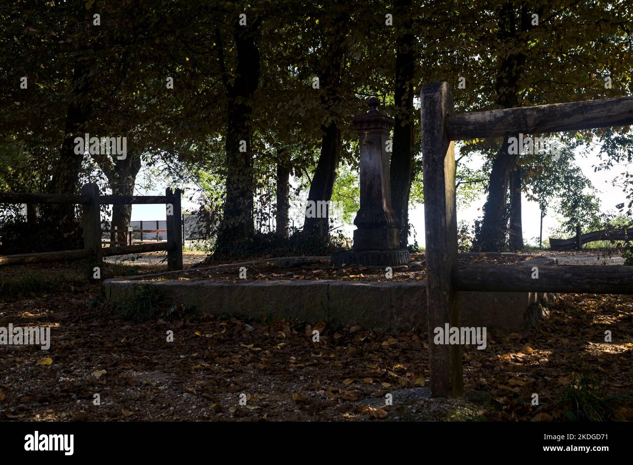 Drinking fountain under a few trees in autumn Stock Photo - Alamy