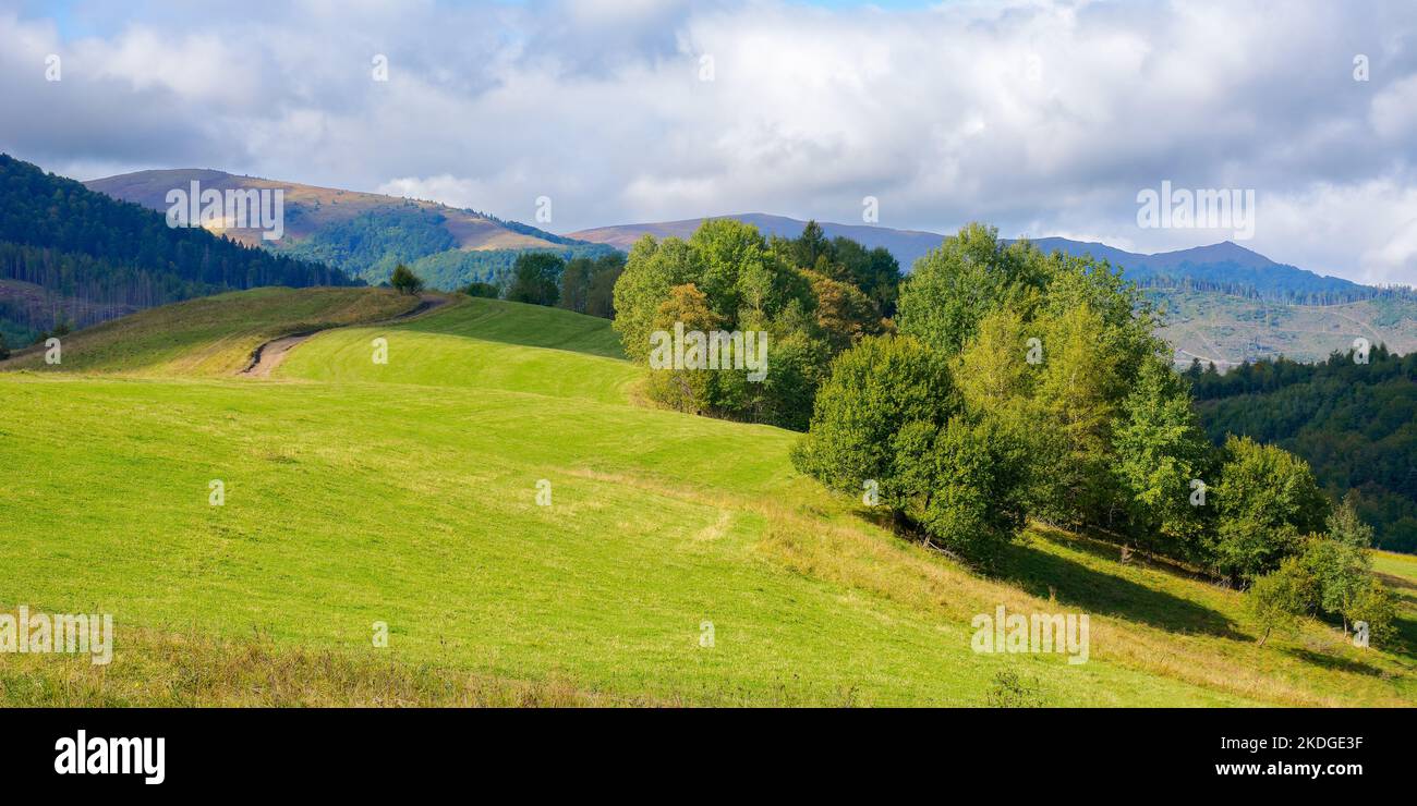 mountainous countryside scenery in early autumn. grassy rolling hills ...
