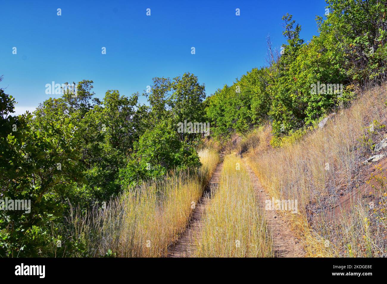 Hamongog hiking trail views Lone Peak Wilderness, Wasatch Front Rocky ...