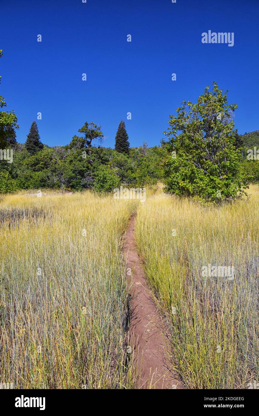 Hamongog hiking trail views Lone Peak Wilderness, Wasatch Front Rocky ...