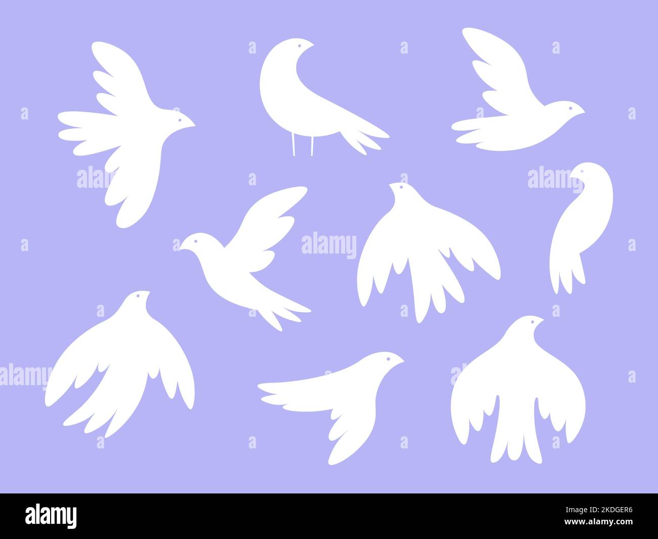 Isolated white birds silhouettes. Flying bird, dove or seagull. Peace ...