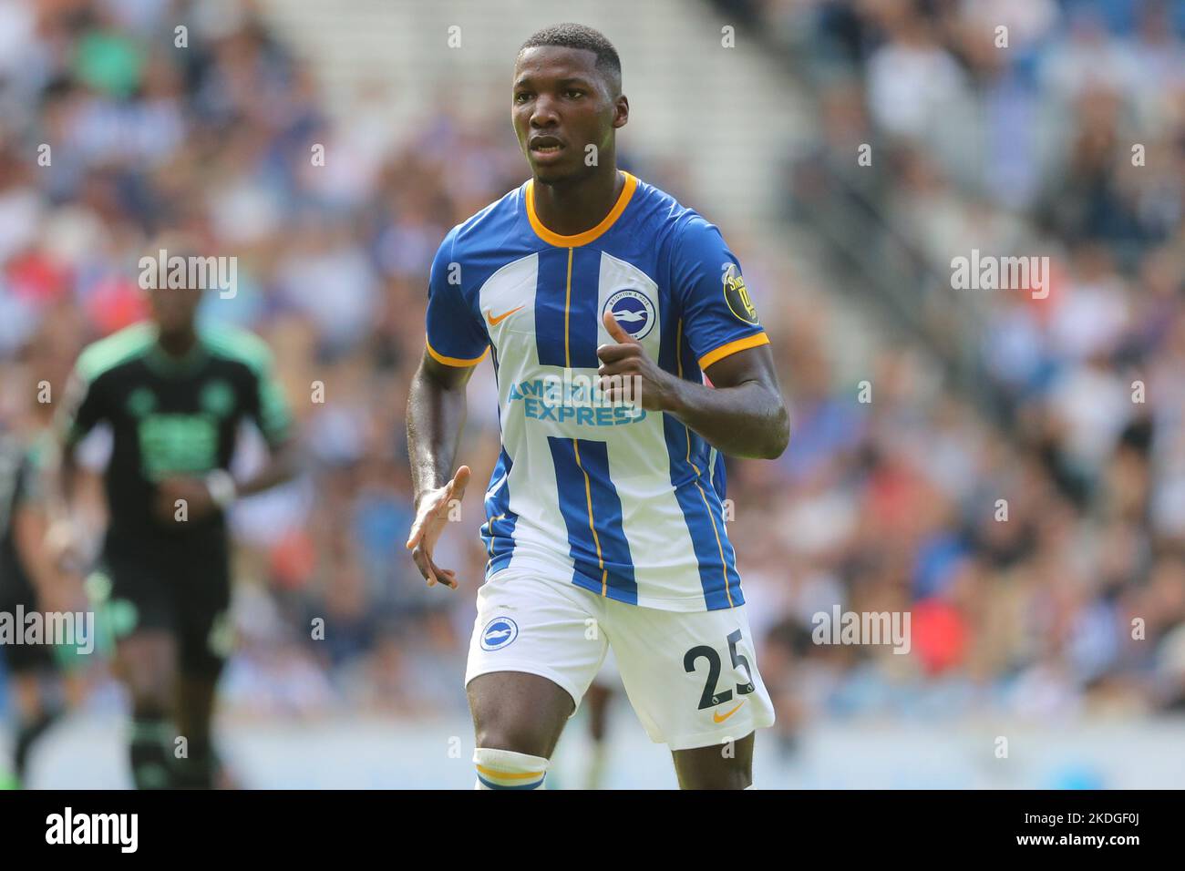 Moisés Caicedo in action for Brighton & Hove Albion at the AMEX Stadium ...