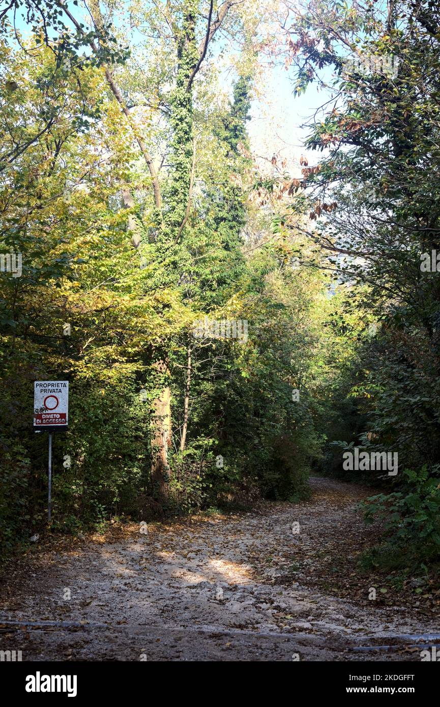 Dirt path in a forest hi-res stock photography and images - Alamy
