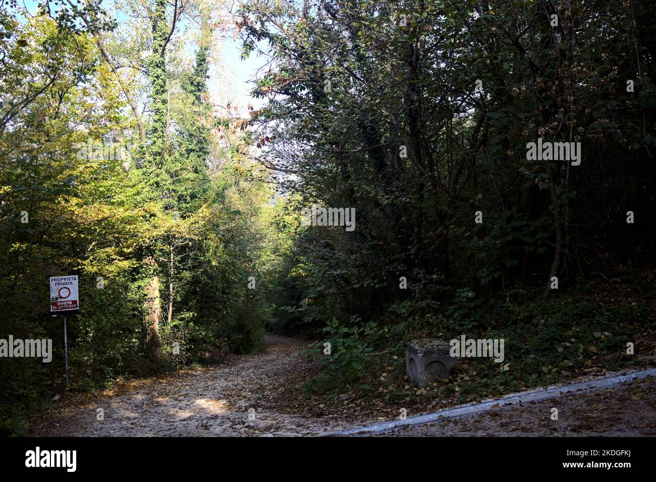 Descending dirt path in a forest in autumn Stock Photo - Alamy