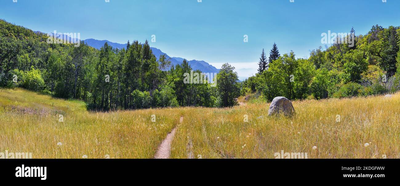Hamongog hiking trail views Lone Peak Wilderness, Wasatch Front Rocky ...
