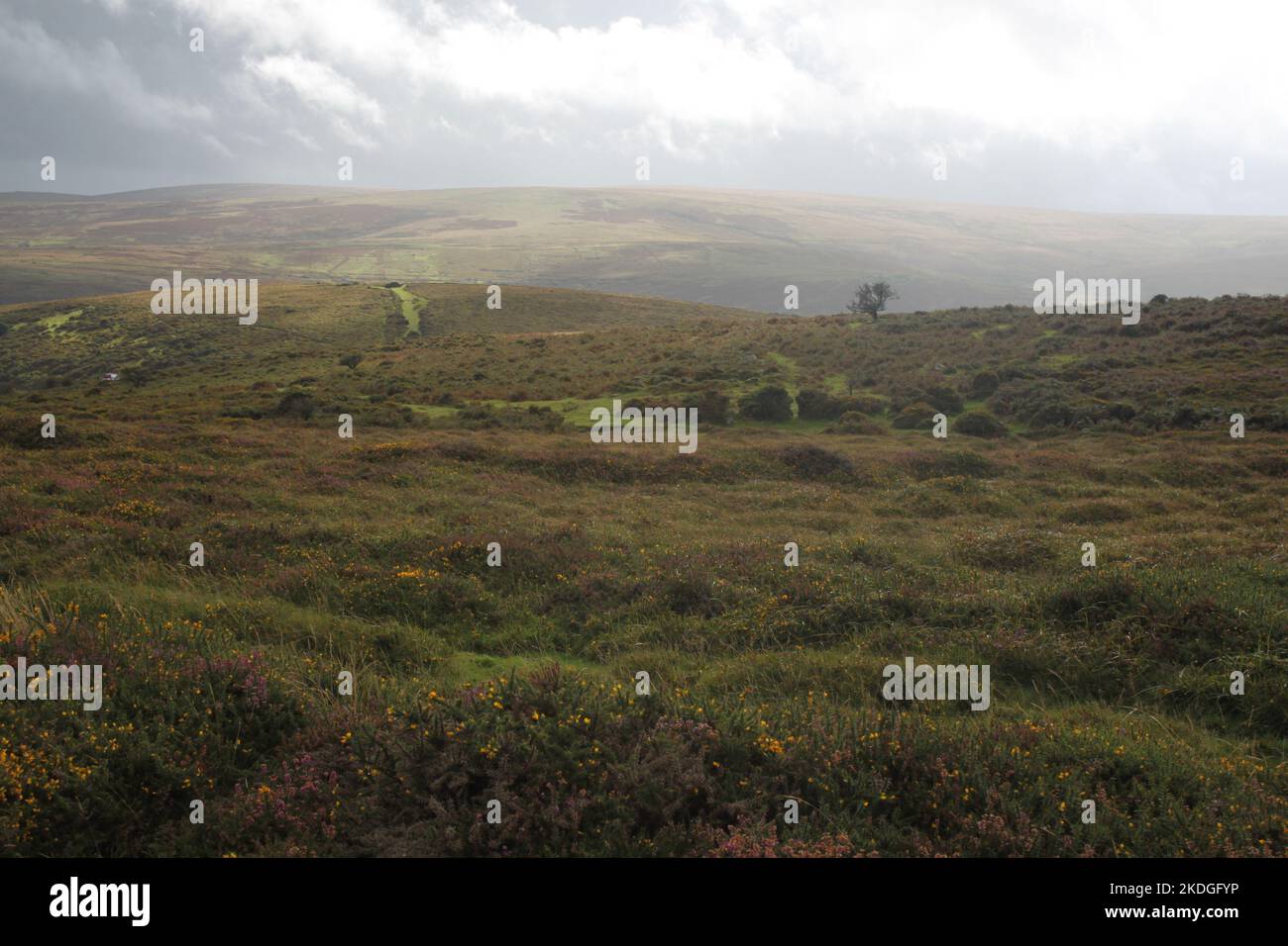 A dramatic view across sweeping moorland with atmospheric diffused ...