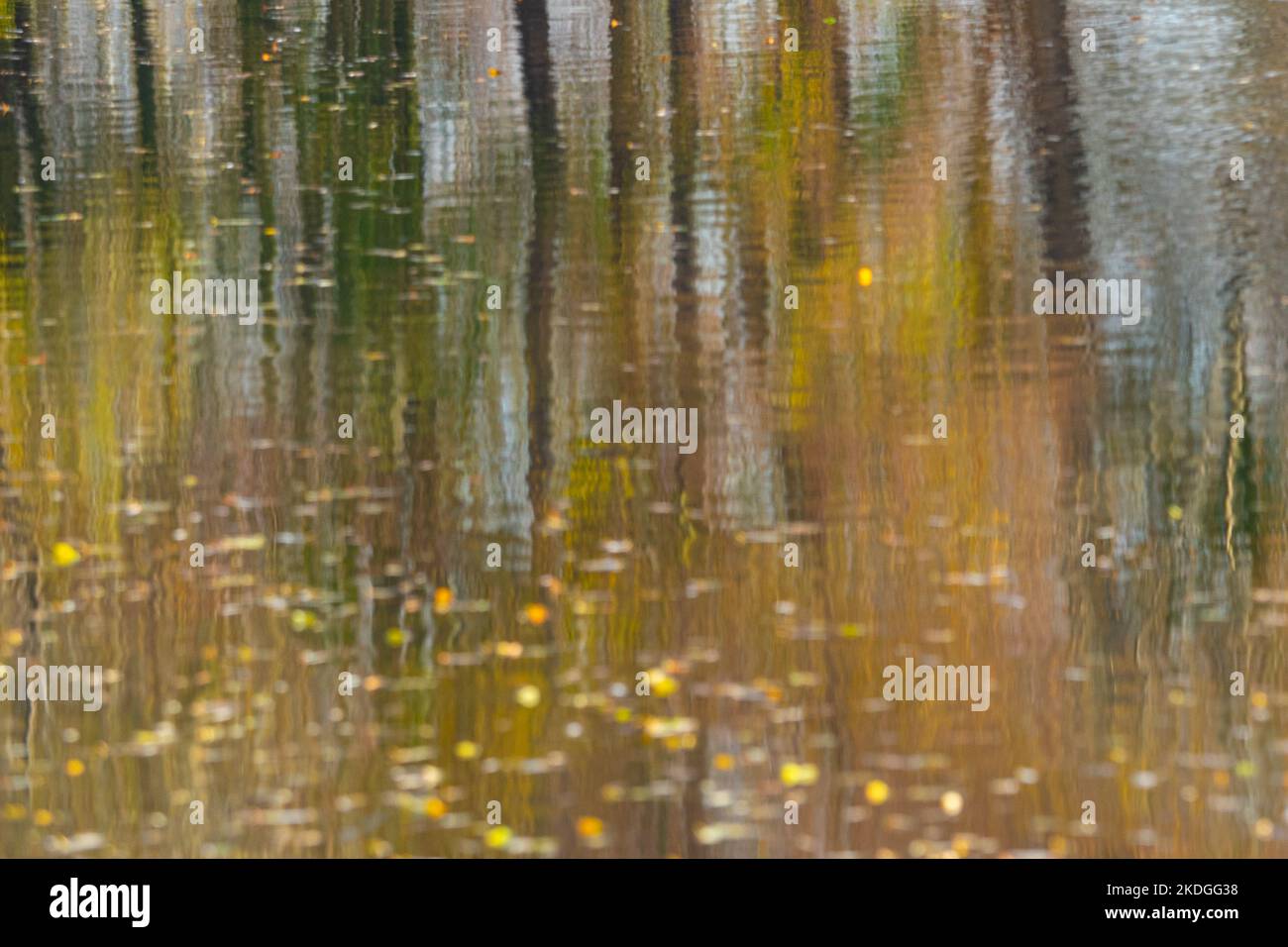 Abstract lines, shapes and colors of autumn reflected in water Stock ...