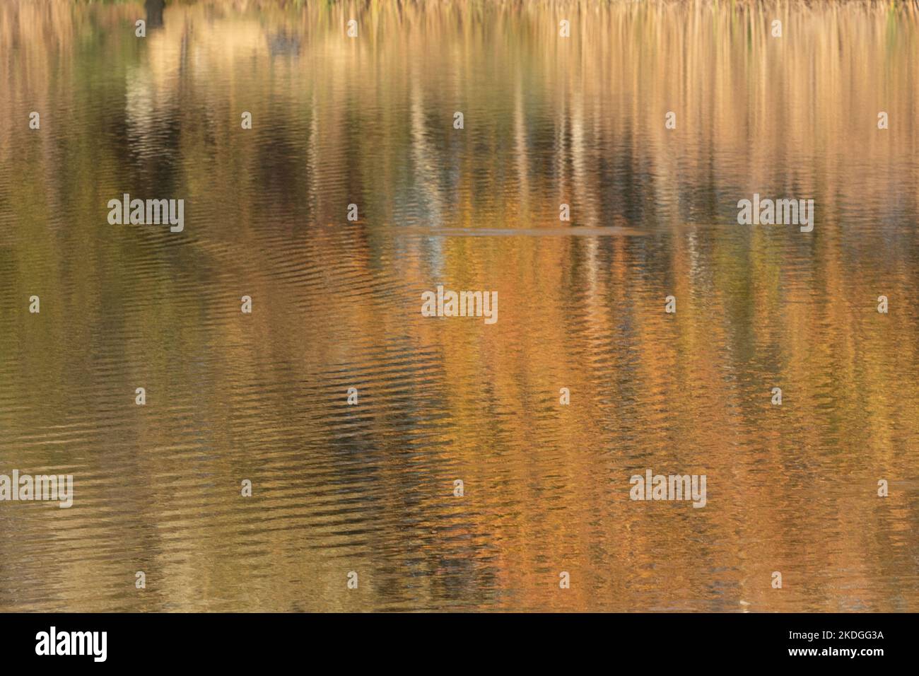 Abstract lines, shapes and colors of autumn reflected in water Stock ...