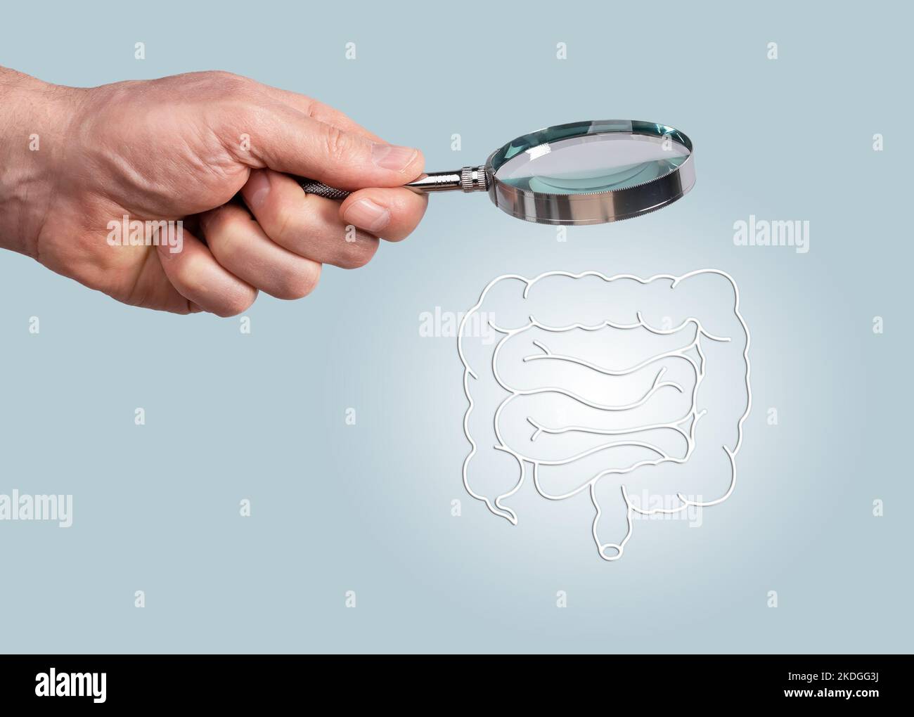 Histology of the intestine hi-res stock photography and images - Alamy