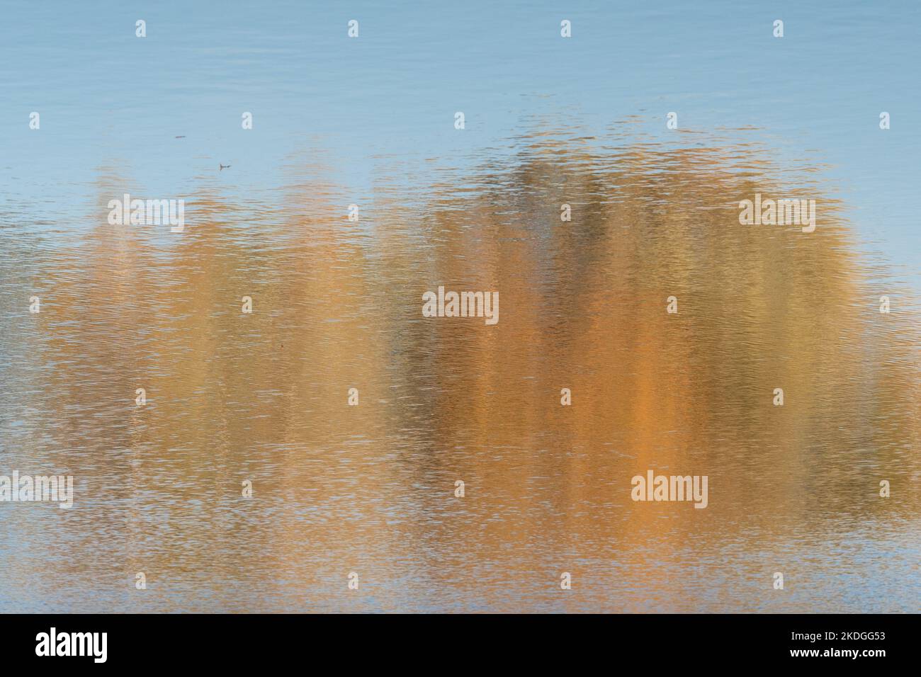 Abstract lines, shapes and colors of autumn reflected in water Stock ...