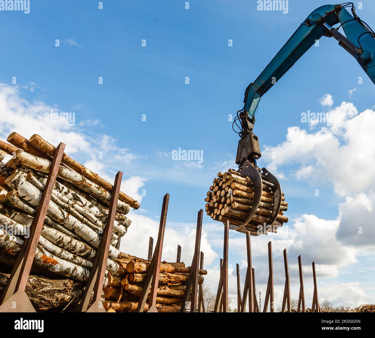 Industrial log loader at lambermill Stock Photo - Alamy