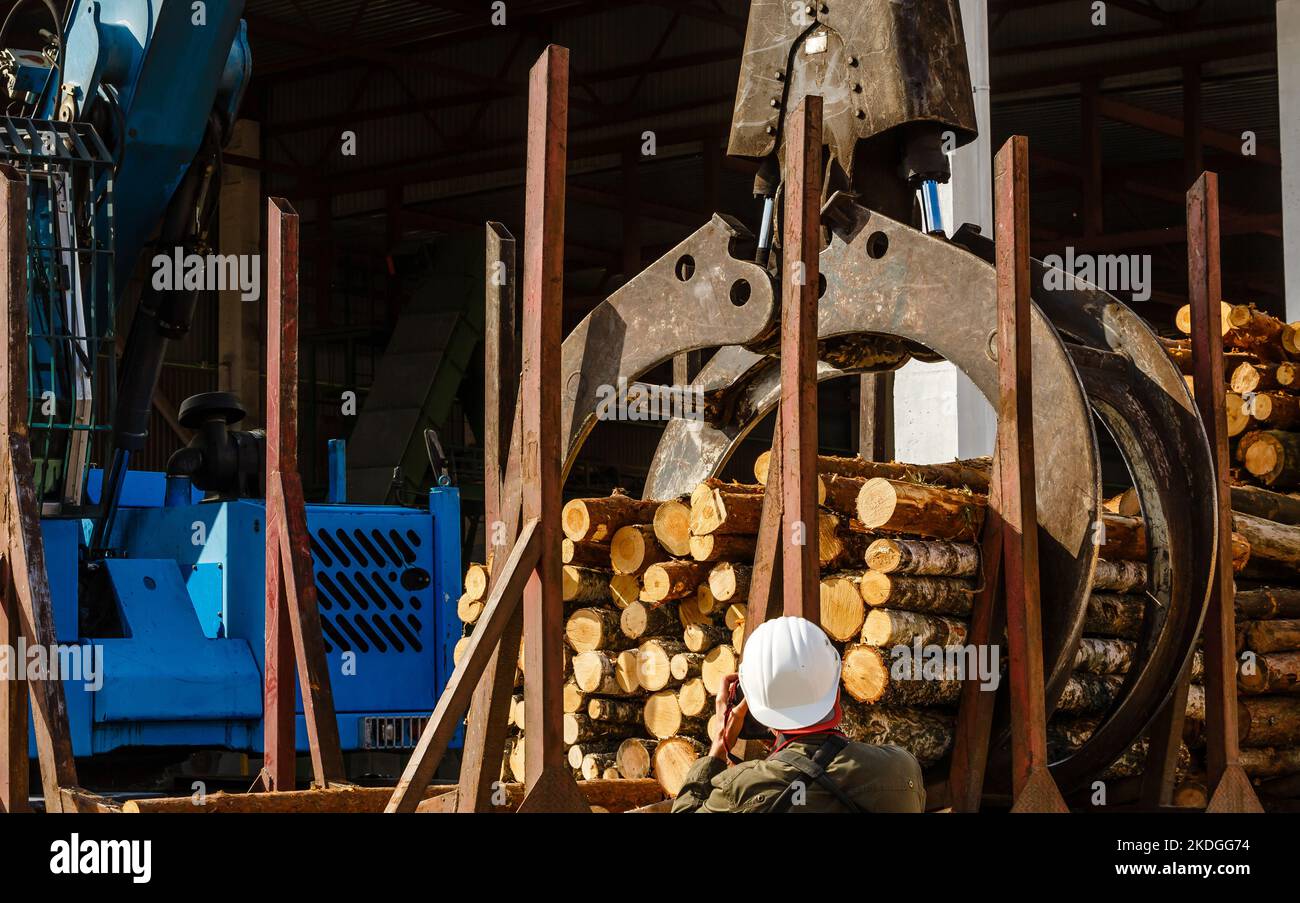 Industrial log loader at lambermill Stock Photo - Alamy