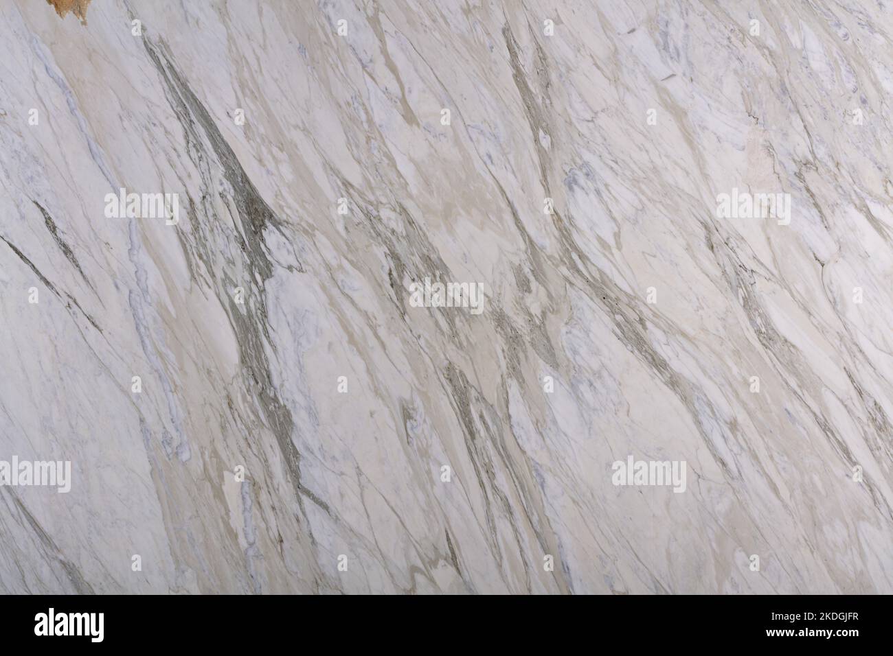 Calacatta fantastico - natural marble stone texture, photo of slab ...
