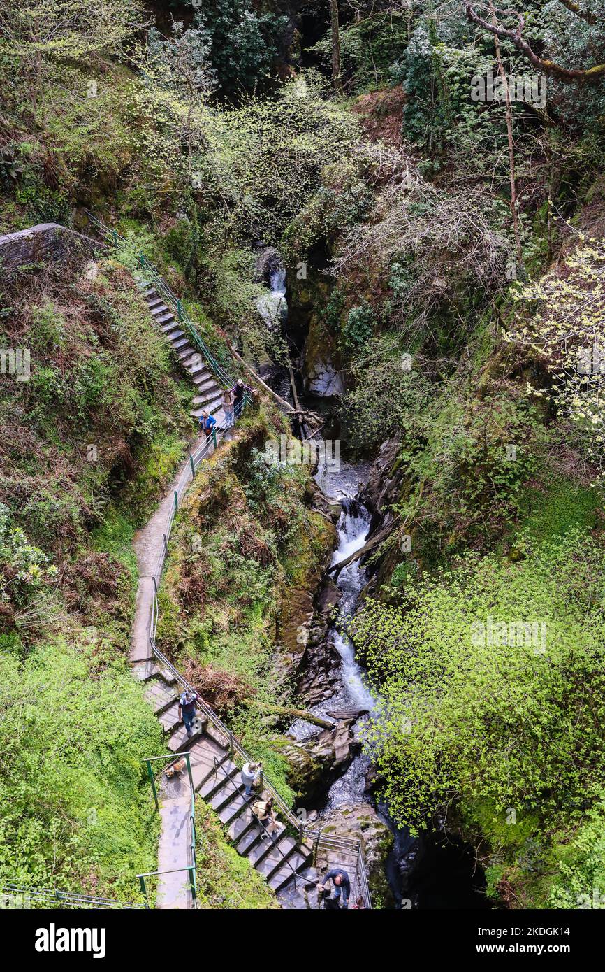 Devils Bridge,Devil Bridge Falls,is,a,world,famous,tourist,attraction ...