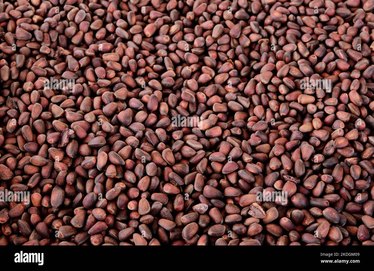 Raw nuts in shell hi-res stock photography and images - Alamy