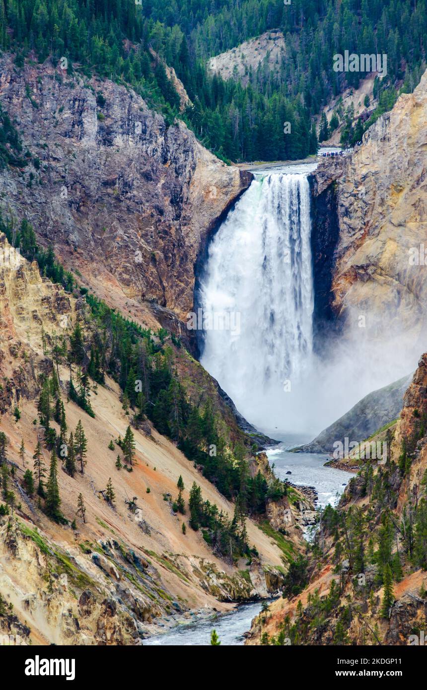 Lower Yellowstone Falls in Yellowstone National Park Stock Photo - Alamy