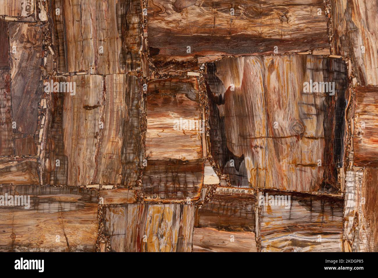 Petrified wood texture slab. Semiprecious, gemstone stone for ceramic ...