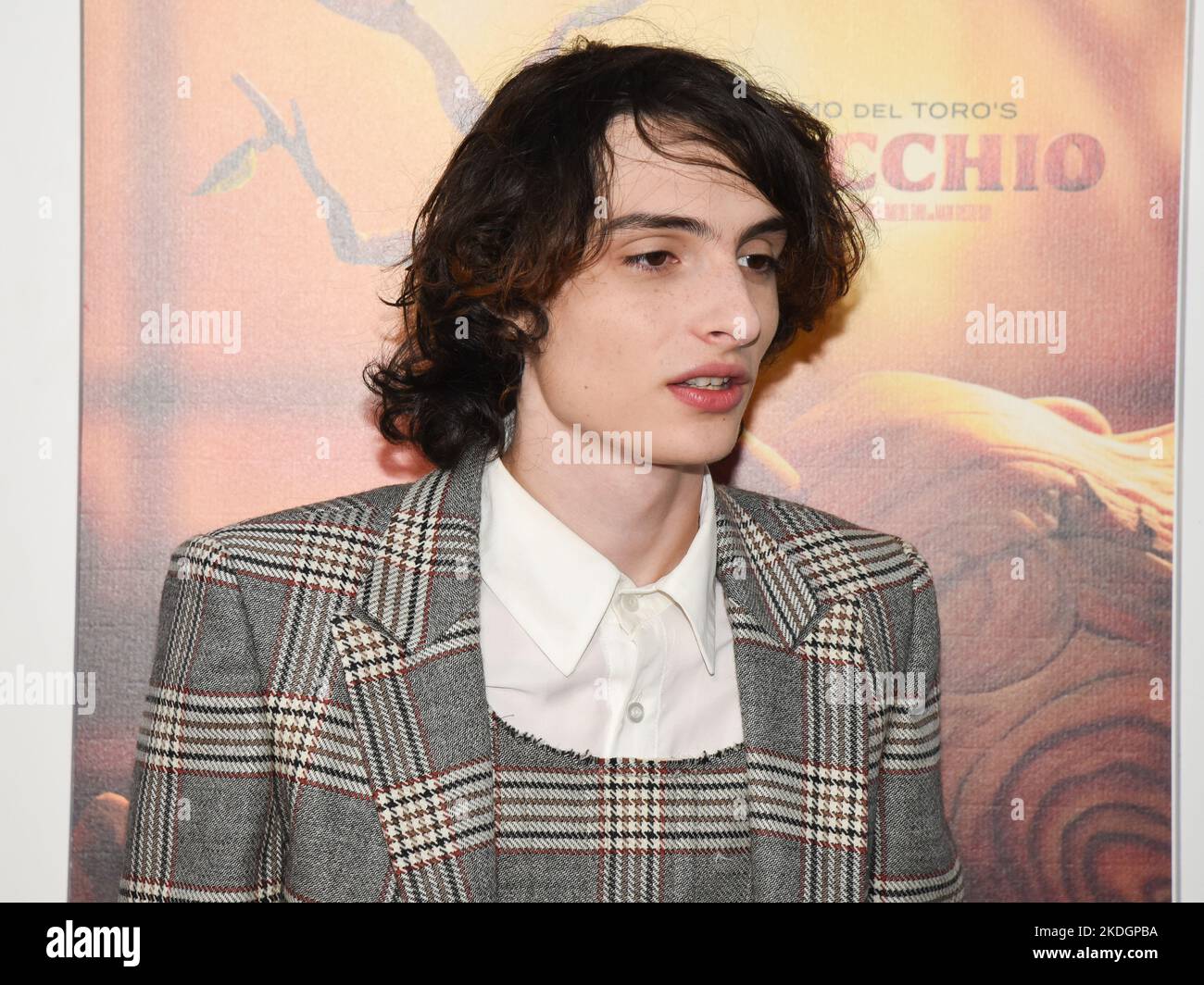November 5, 2022, Hollywood, California, USA: Finn Wolfhard attends ...
