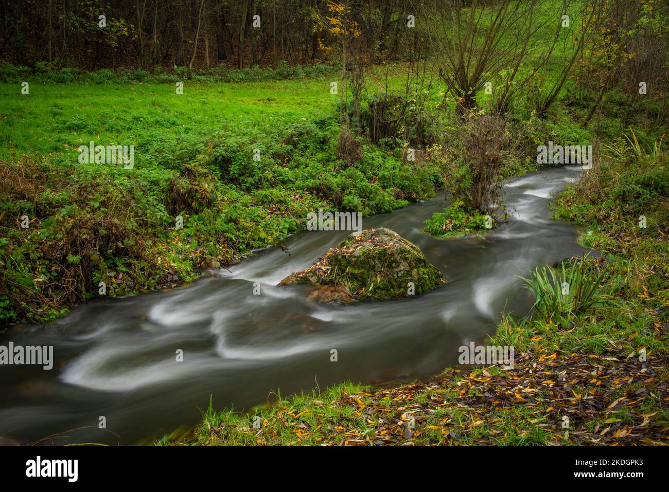 Color valley of Sarecky creek in autumn blue sky day in capital Prague ...