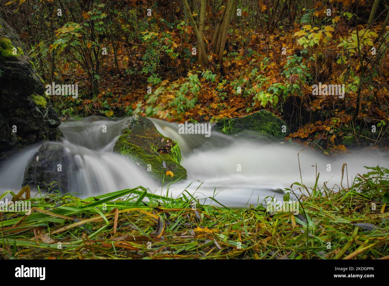 Color valley of Sarecky creek in autumn blue sky day in capital Prague ...