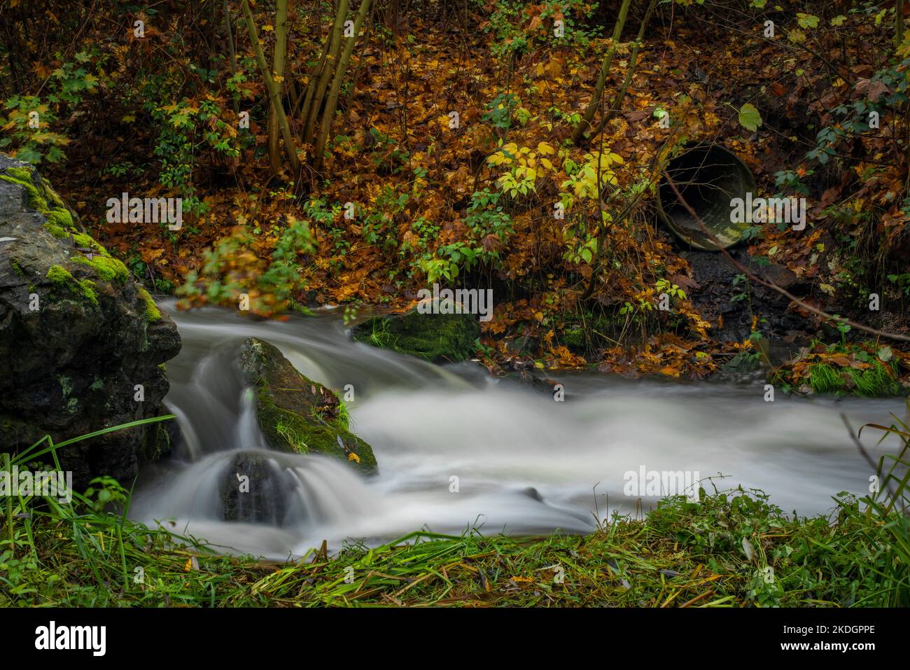 Color valley of Sarecky creek in autumn blue sky day in capital Prague ...