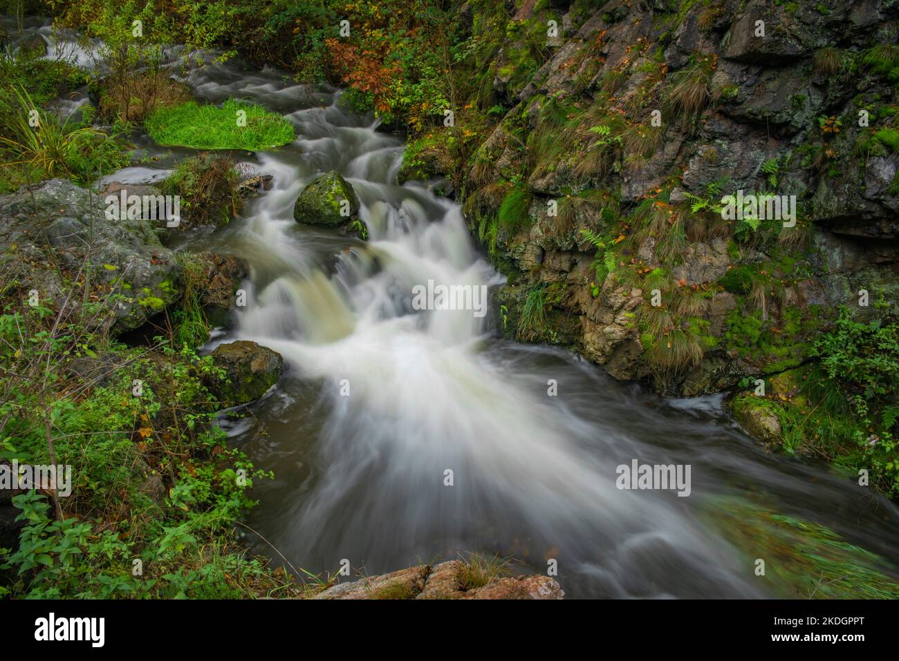 Color valley of Sarecky creek in autumn blue sky day in capital Prague ...