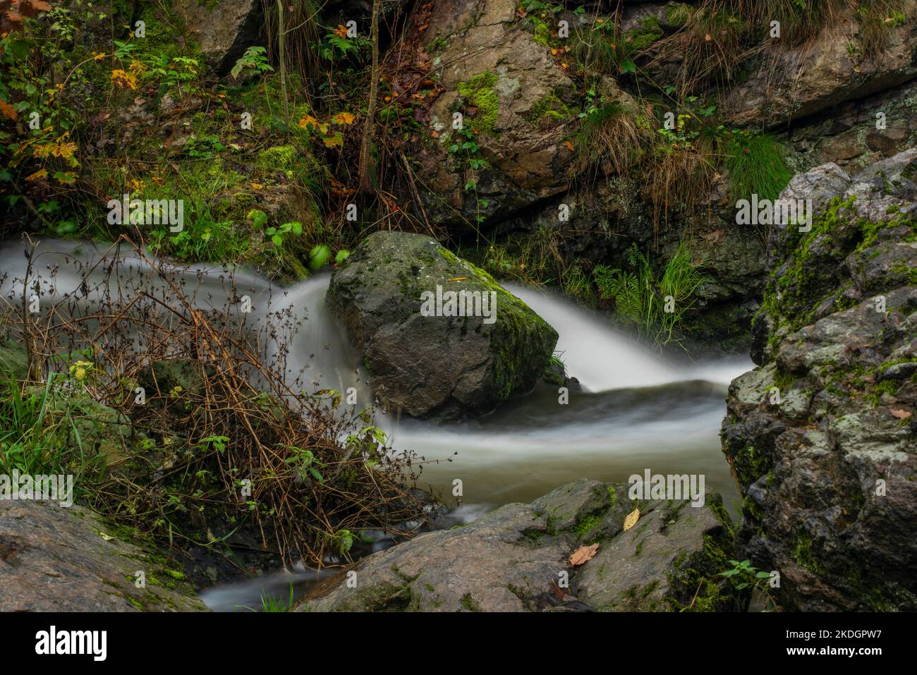 Color valley of Sarecky creek in autumn blue sky day in capital Prague ...