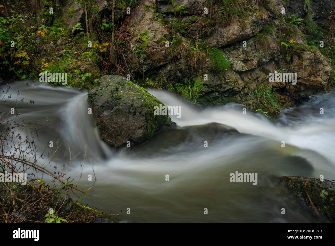 Color valley of Sarecky creek in autumn blue sky day in capital Prague ...