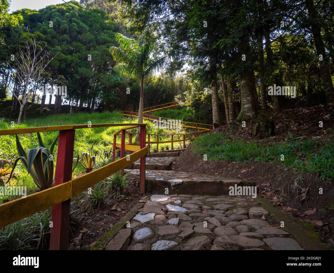 Rustic Stone Road with Lots of Trees and Plants Around it Stock Photo ...