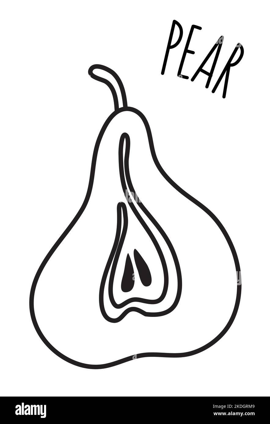 Pear hand drawn with thin line isolated on white background. Vector ...