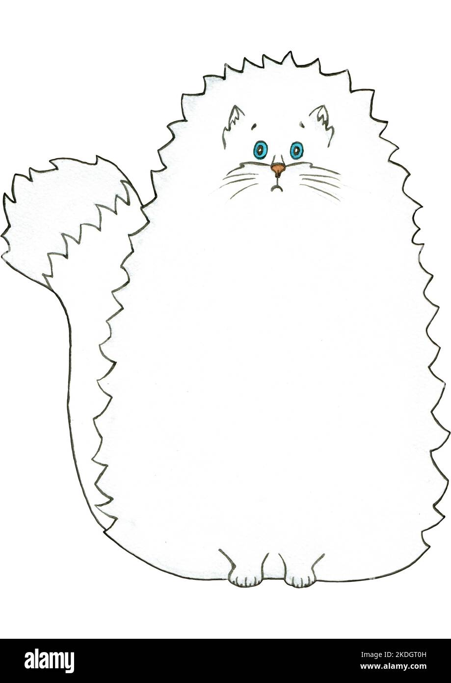 Scarried cat hi-res stock photography and images - Alamy